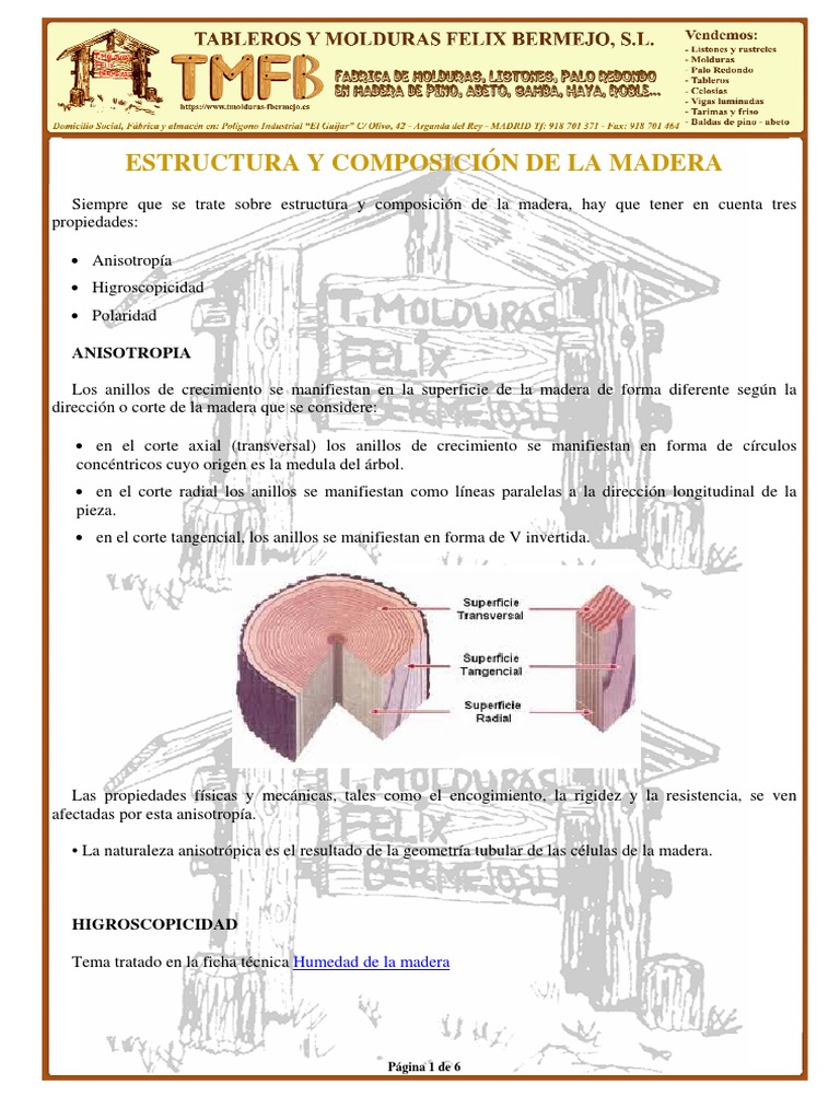 Estructura Y Composición de La Madera: Anisotropia | PDF | Madera | Arboles