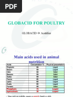 CVB Table Booklet Feeding of Ruminants 2022 | PDF | Dairy Cattle ...