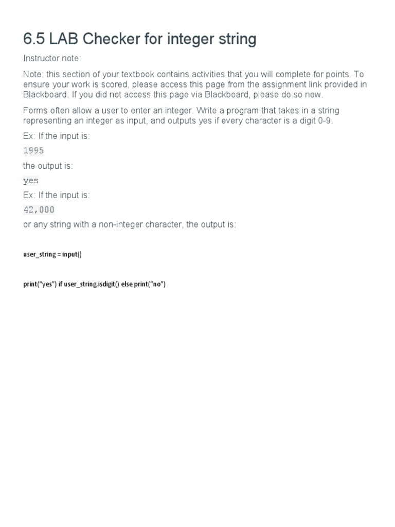 6.5 LAB Checker For Integer String | PDF