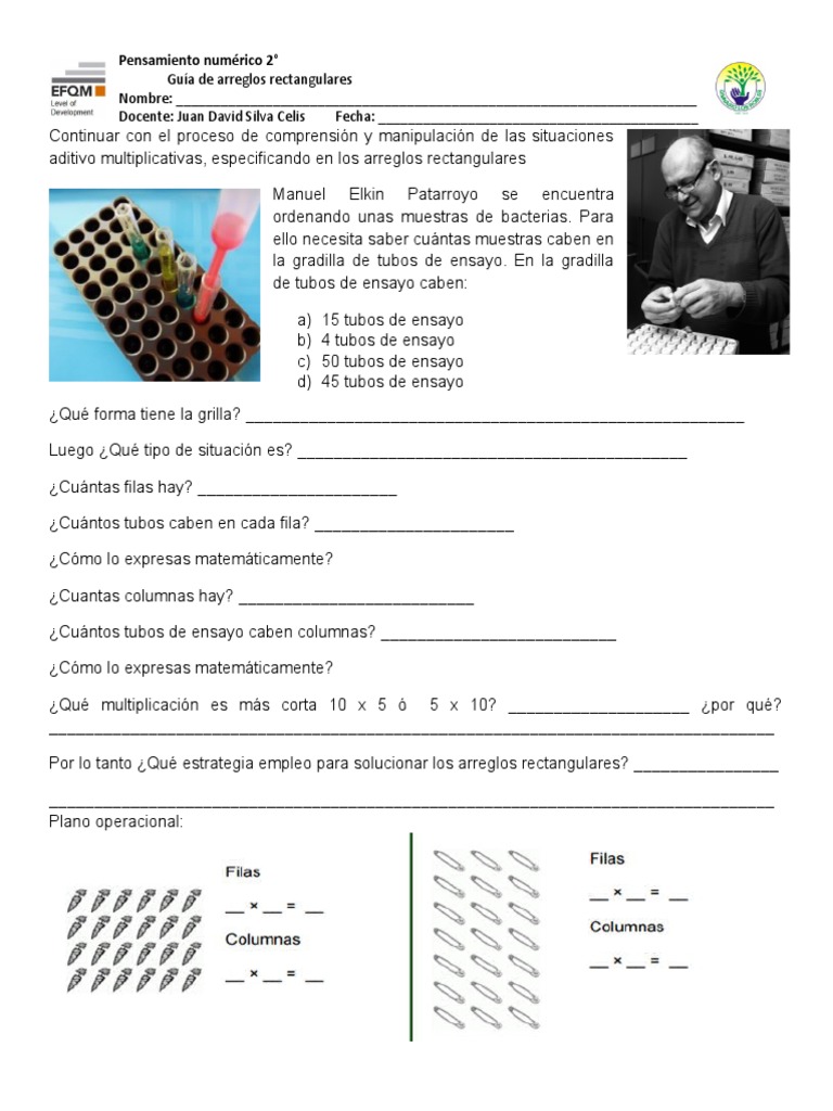 arreglos rectangulares 2° | PDF