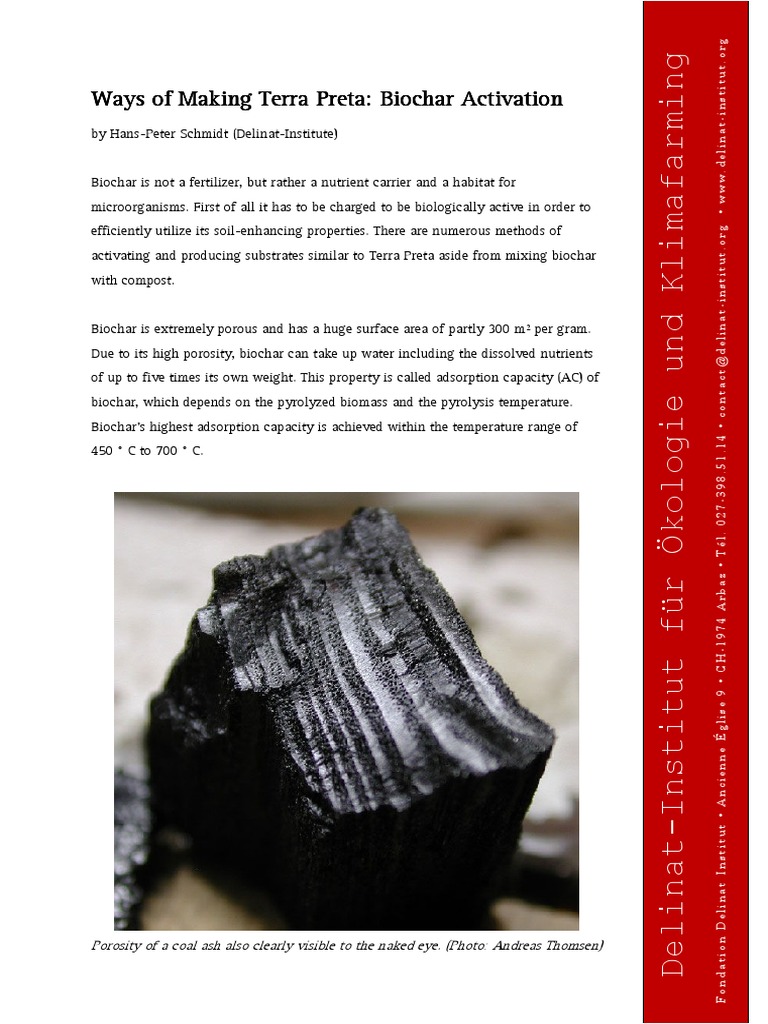 Biochar Activation | PDF | Compost | Manure