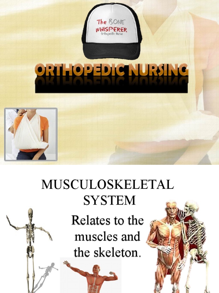 Anatomy and Physiology of the Musculoskeletal System: A Comprehensive ...