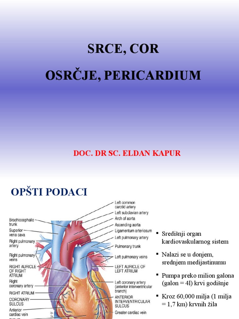 SRCE | PDF