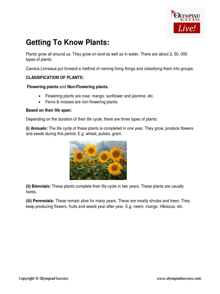 Class - 6 - Getting To Know Plants - T - 1 PDF | PDF | Leaf | Plant Stem