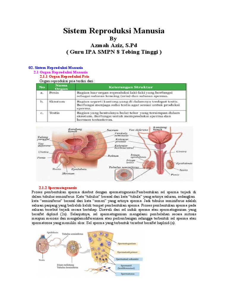 Modul 9A (Sistem Reproduksi Manusia) | PDF | Pengembangan Diri | Kesehatan Holistik