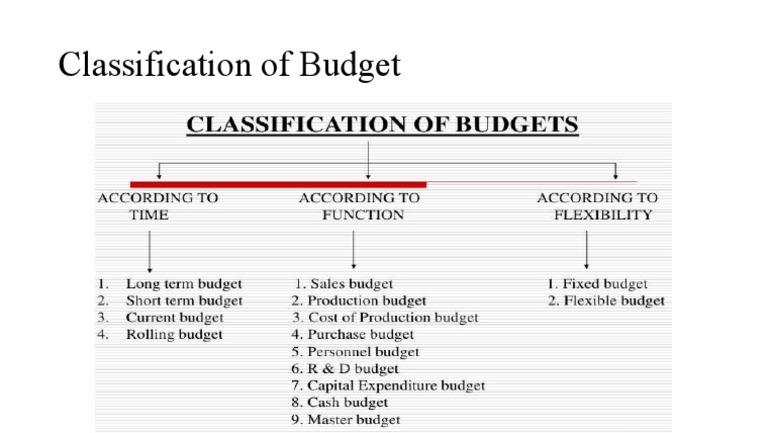 Types of Budget Classifications | PDF