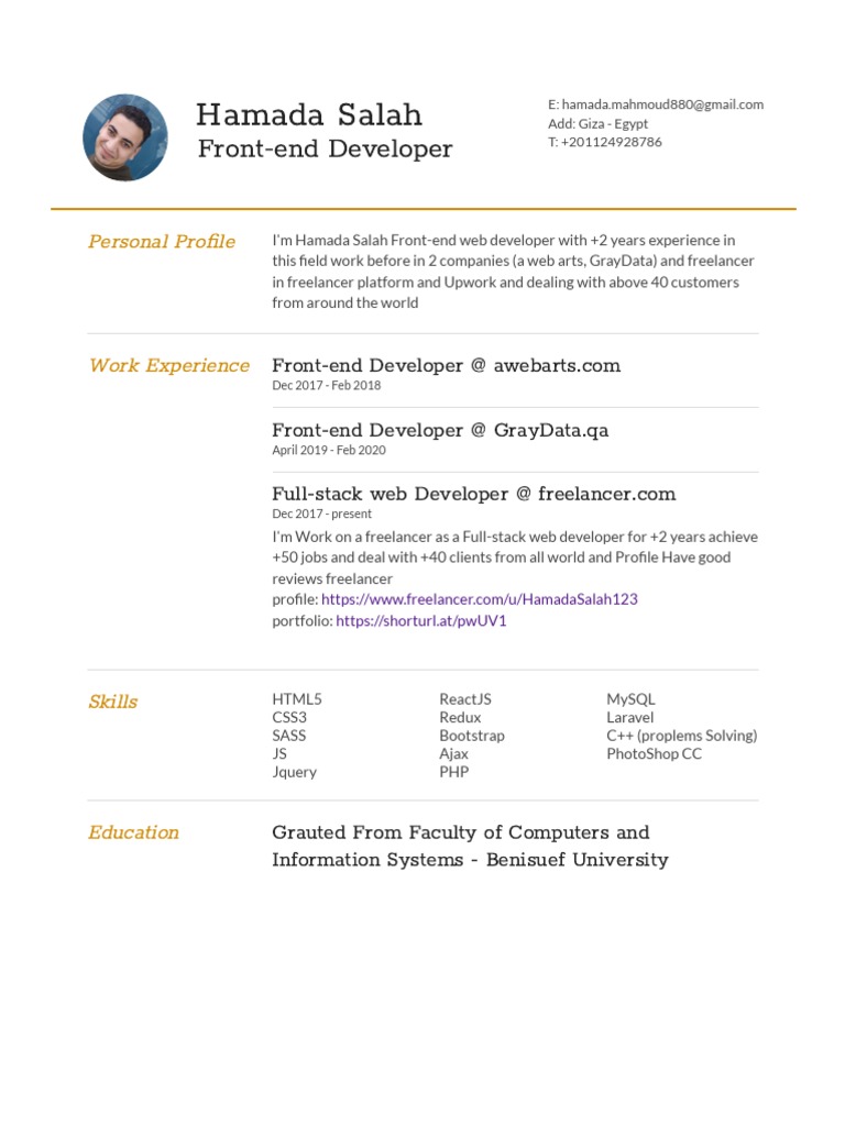 Hamada Salah CV PDF | PDF | Computers