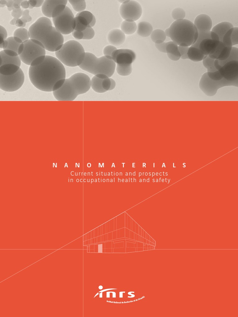 CP Nanos Bilan Perspective English | PDF | Nanotoxicology | Nanomaterials