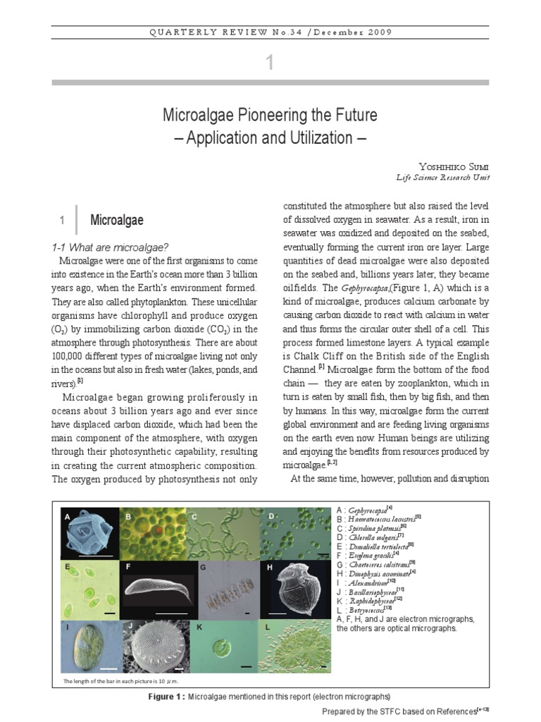 Microalgae Pioneering The Future - Application and Utilization | PDF | Algae Fuel | Biofuel