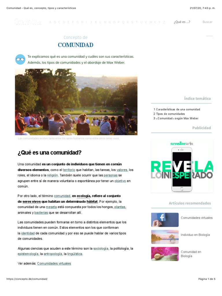 Comunidad - Qué Es, Concepto, Tipos y Características | PDF | Comunidad ...