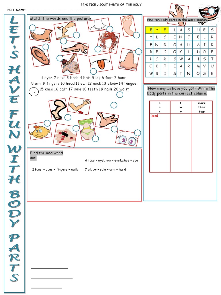Parts of The Body Practice. | PDF | Hand | Human Anatomy