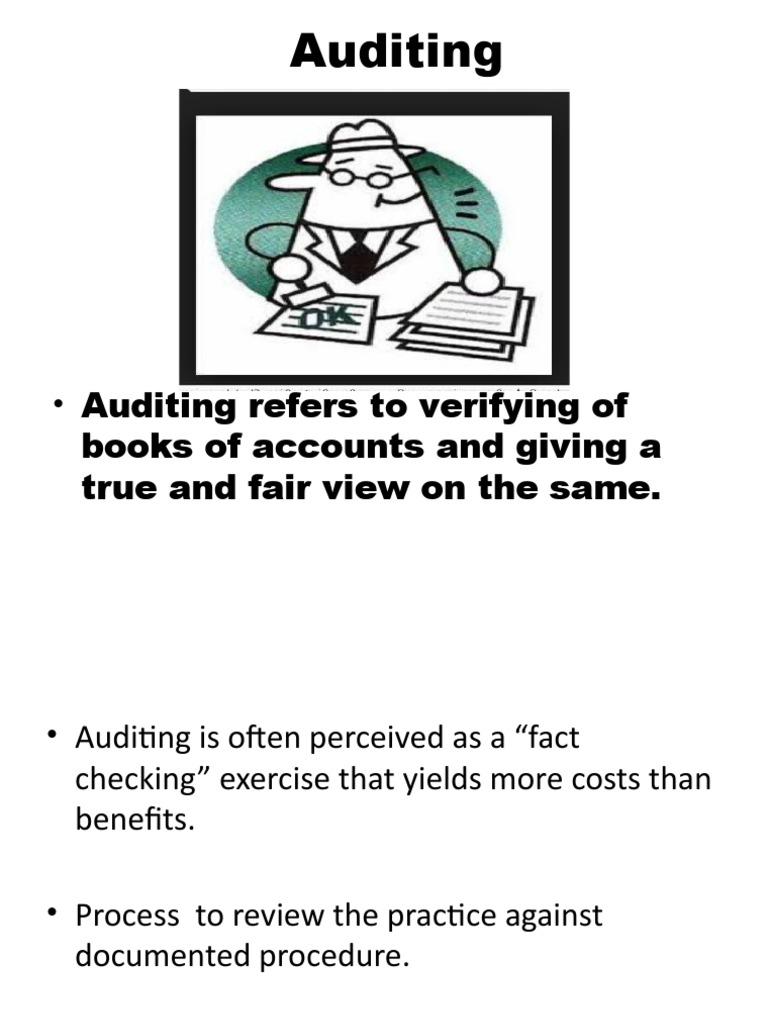Auditors Code of Conduct | PDF | Internal Audit | Audit