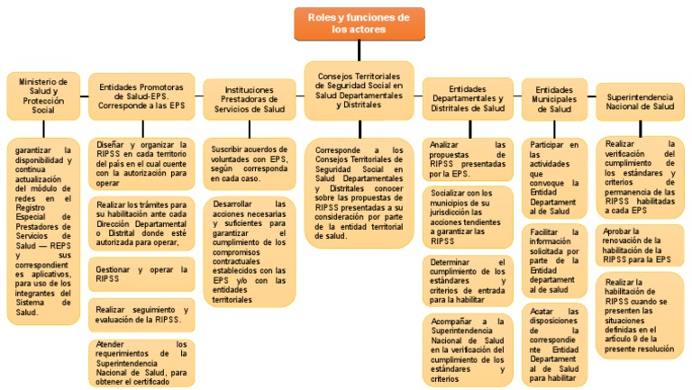 Mapa Conceptual RIPSS | PDF | Gobierno | Business