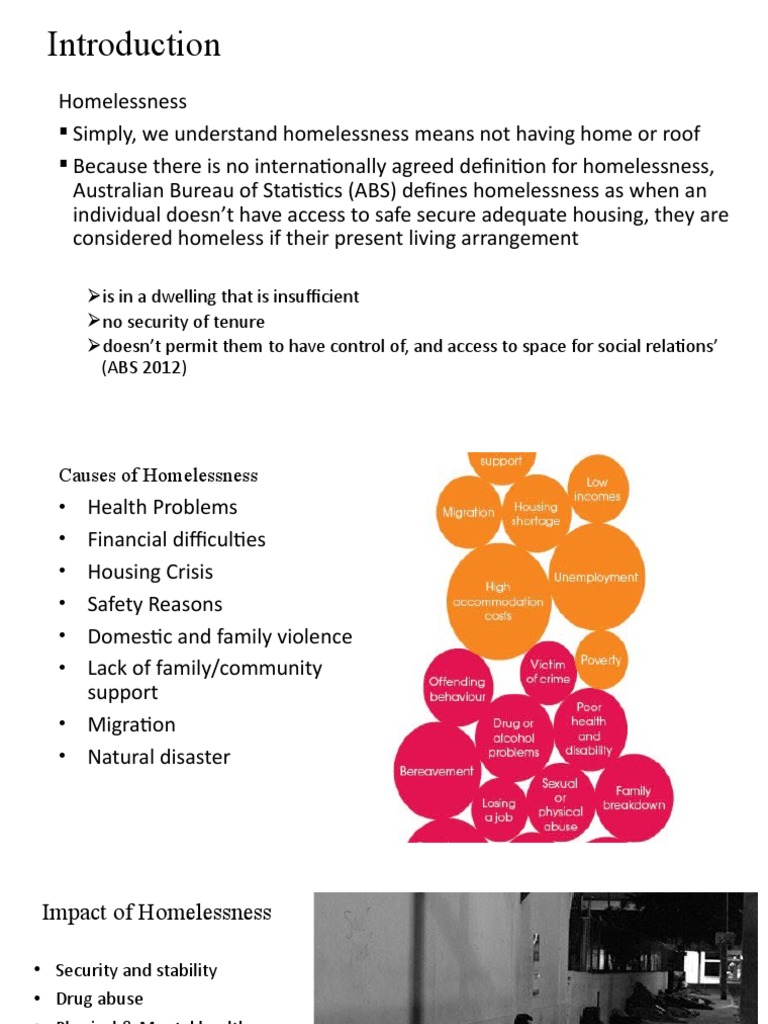 SCS Homelessness 1 | PDF | Homelessness | Government