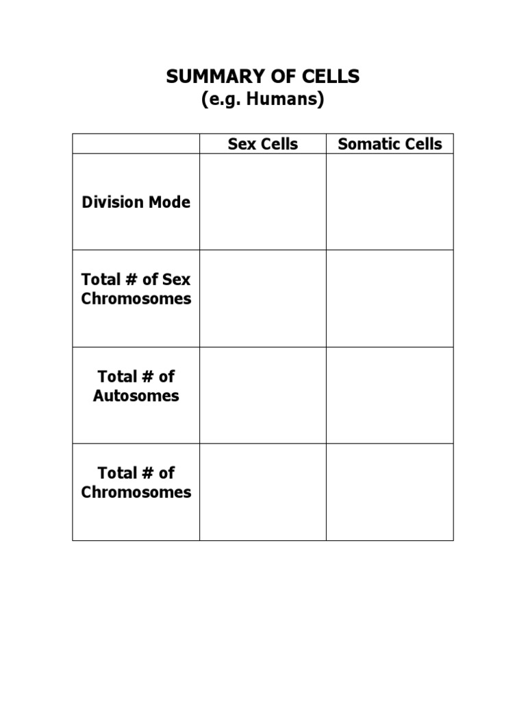 Summary of Cells | PDF