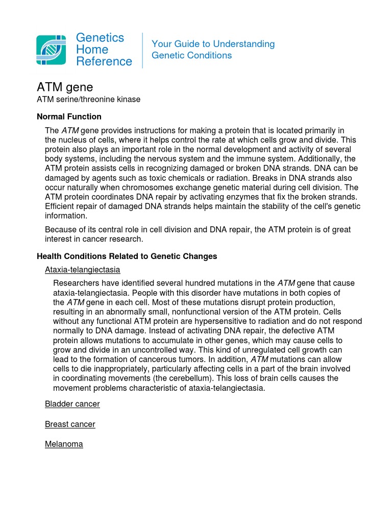 ATM Gene: Genetics Home Reference | PDF | Dna Repair | Mutation