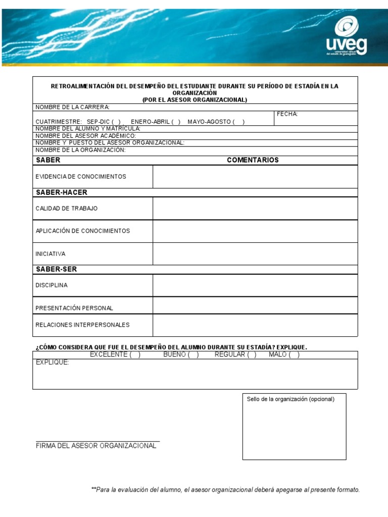 EA9 - Formato - Retroalimentación Del Desempeño | PDF