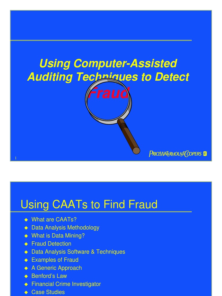 CAATs for Fraud Detection Examples | PDF | Accounts Payable | Fraud