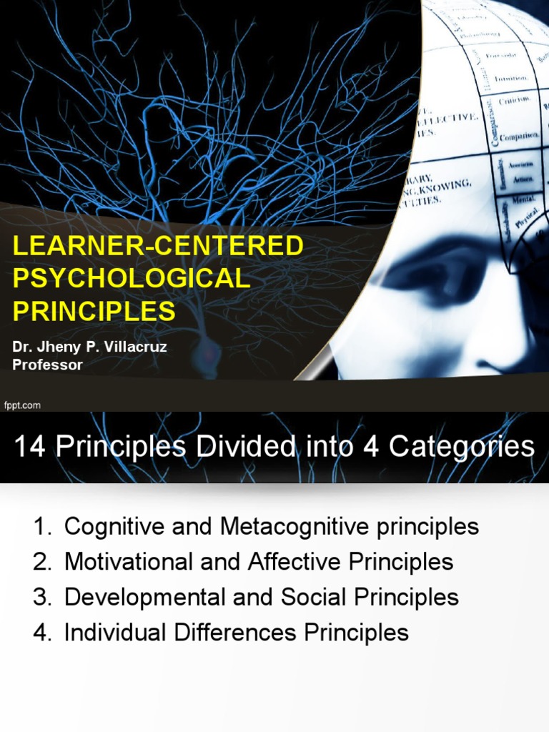14 Learner-Centered Principles Explained | PDF | Metacognition | Affect ...