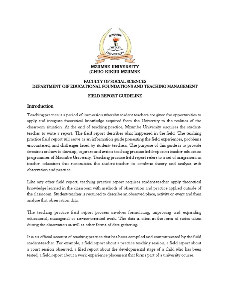 TP - FIELD REPORT GUIDELINE - Final 2020 | PDF | Lesson Plan | Teachers