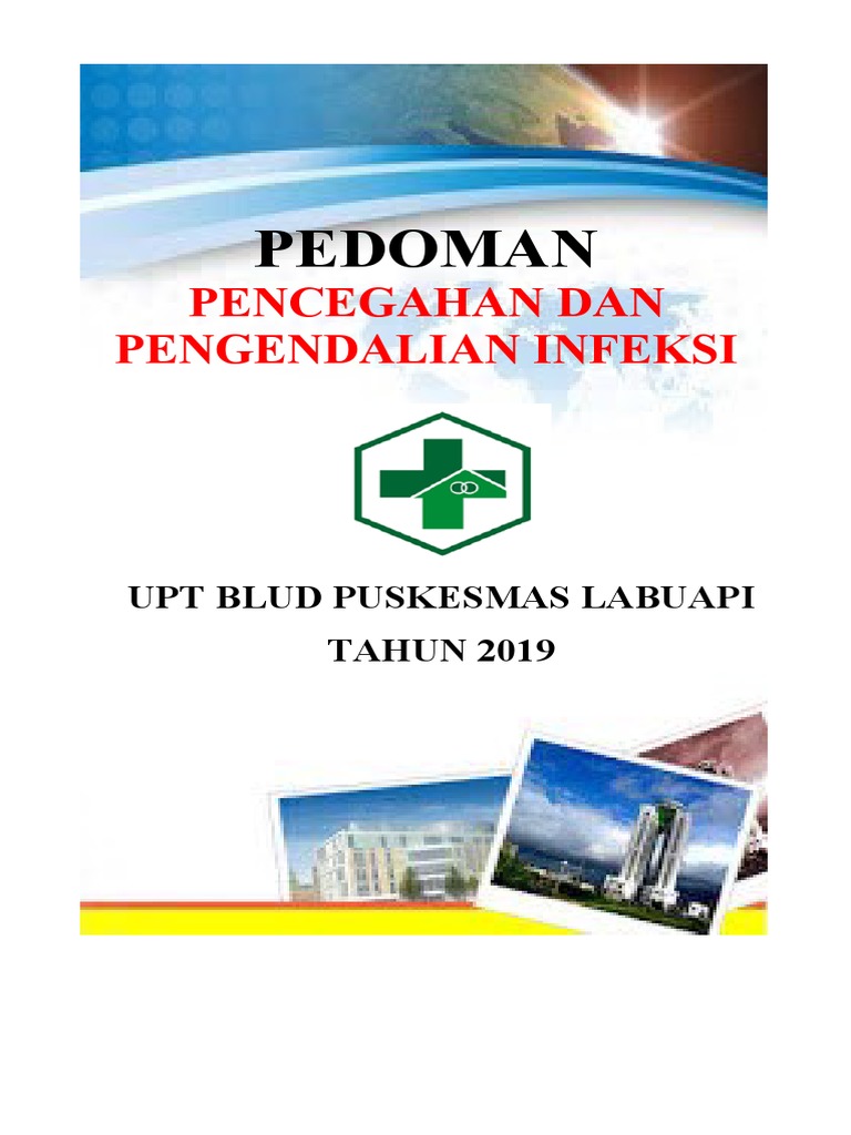 Pedoman Internal PPI Puskesmas Labuapi | PDF