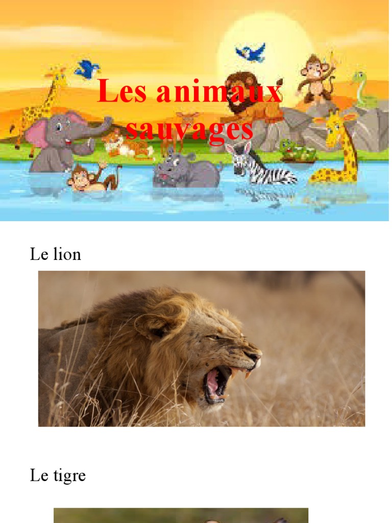 Animaux sauvages : lion, tigre, singe, éléphant | PDF