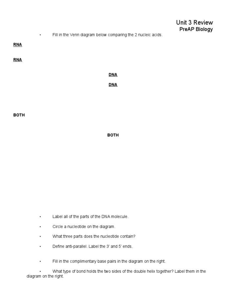 Pap Review Unit 3 Download Free Pdf Genetic Code Translation