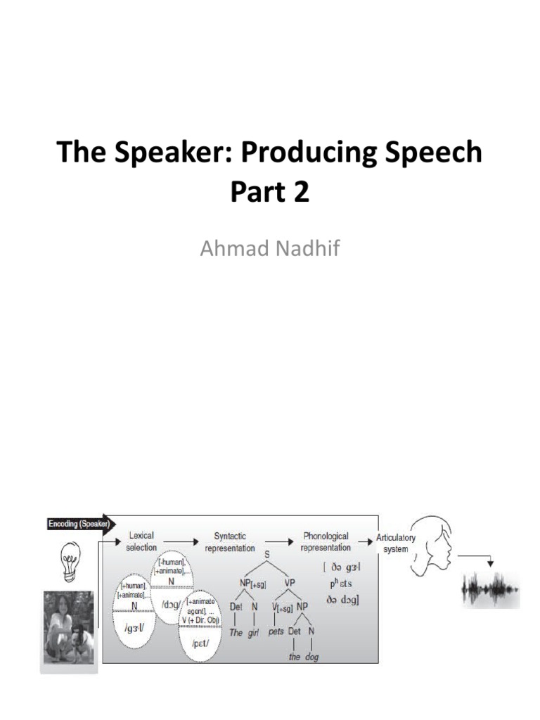 The Speaker Producing Speech Part 2 | PDF | Speech | Phonetics