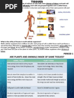 Class 9 Science: Tissues Revision Notes | PDF | Epithelium | Tissue ...