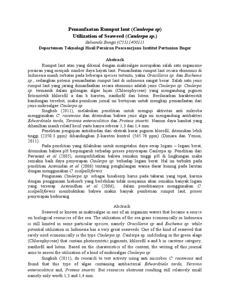 Pemanfaatan Rumput Laut Caulerpa SP Util | PDF