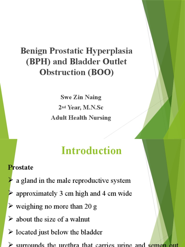 Benign Prostatic Hyperplasia (BPH) and Bladder Outlet Obstruction (BOO ...