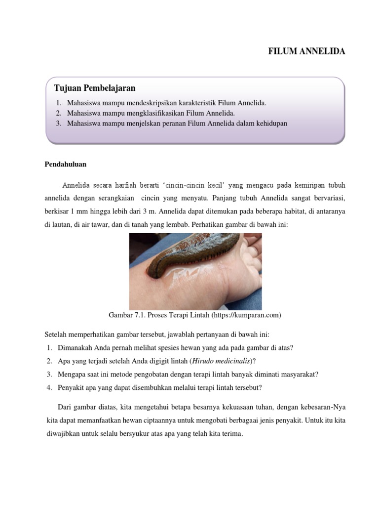 Filum Annelida | PDF