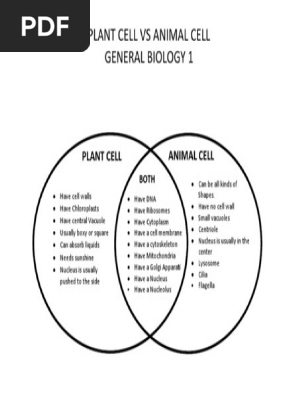 Compare Plant Cell And Animal Cell Using Venn Diagram