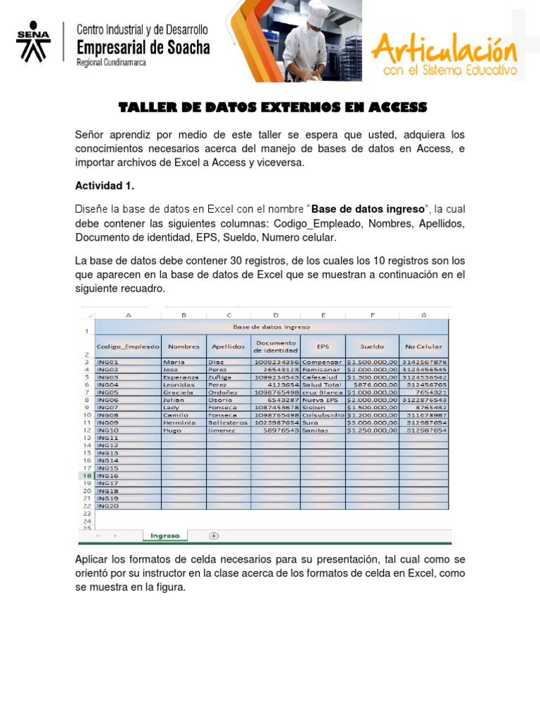 Taller Manejo de Datos Externos en Access PDF | PDF | Microsoft Excel | Bases de datos