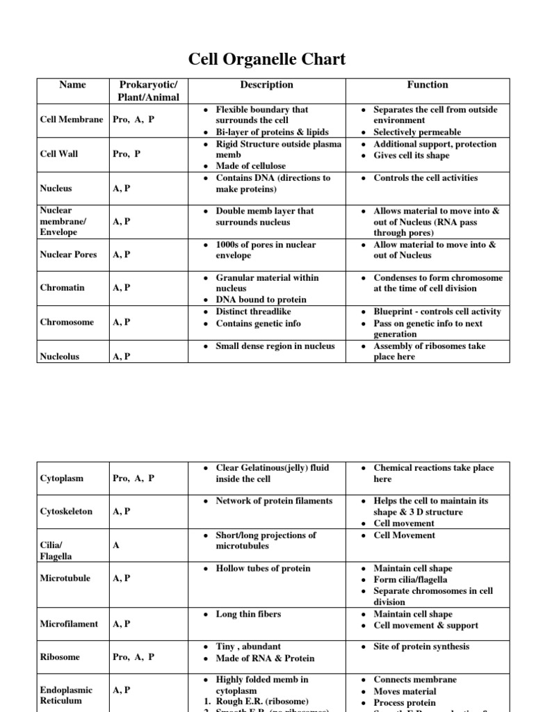 Cell Organelle Chart: Name Prokaryotic/ Plant/Animal Description ...