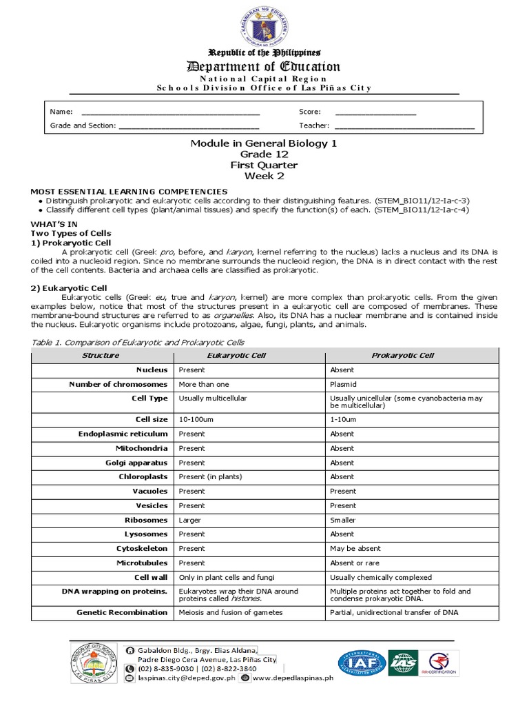 Gen Bio 1 Module Q1W2 | PDF | Eukaryotes | Cell (Biology)