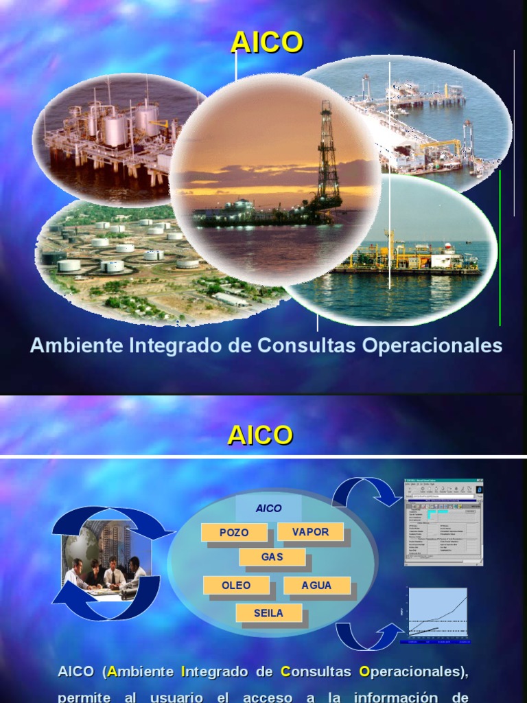AICO: Consultas Operacionales Efectivas | PDF | Software | Informática