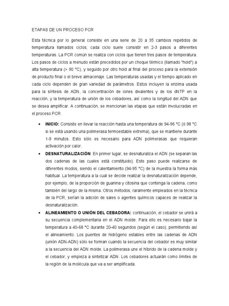 Etapas del Proceso PCR Detalladas | PDF | Reacción en cadena de la ...