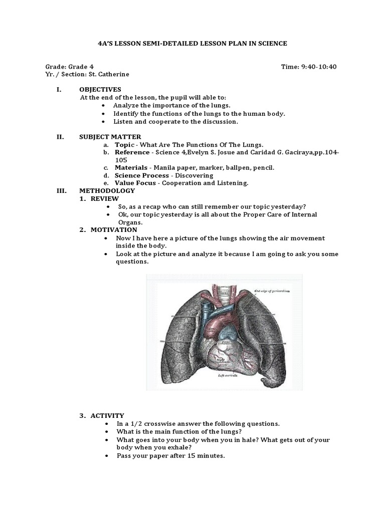 4A'S Lesson Semi-Detailed Lesson Plan in Science | Download Free PDF ...
