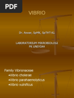 BAM Chapter 9. Vibrio | PDF | Science & Mathematics