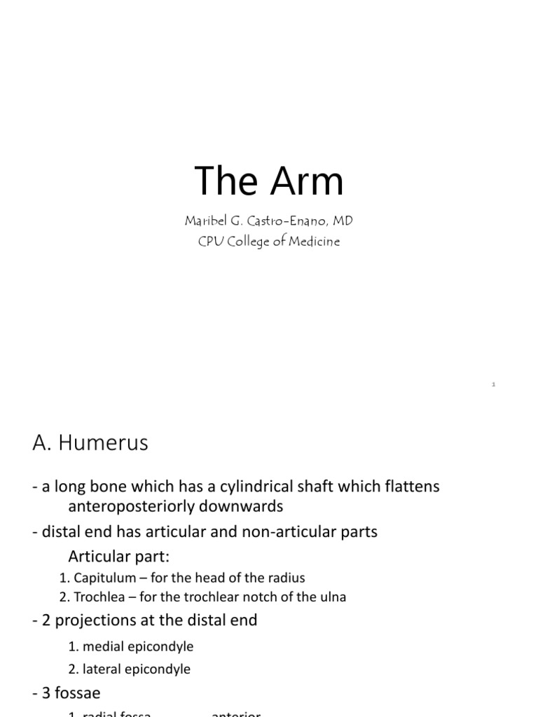 The Arm PDF | PDF | Elbow | Arm