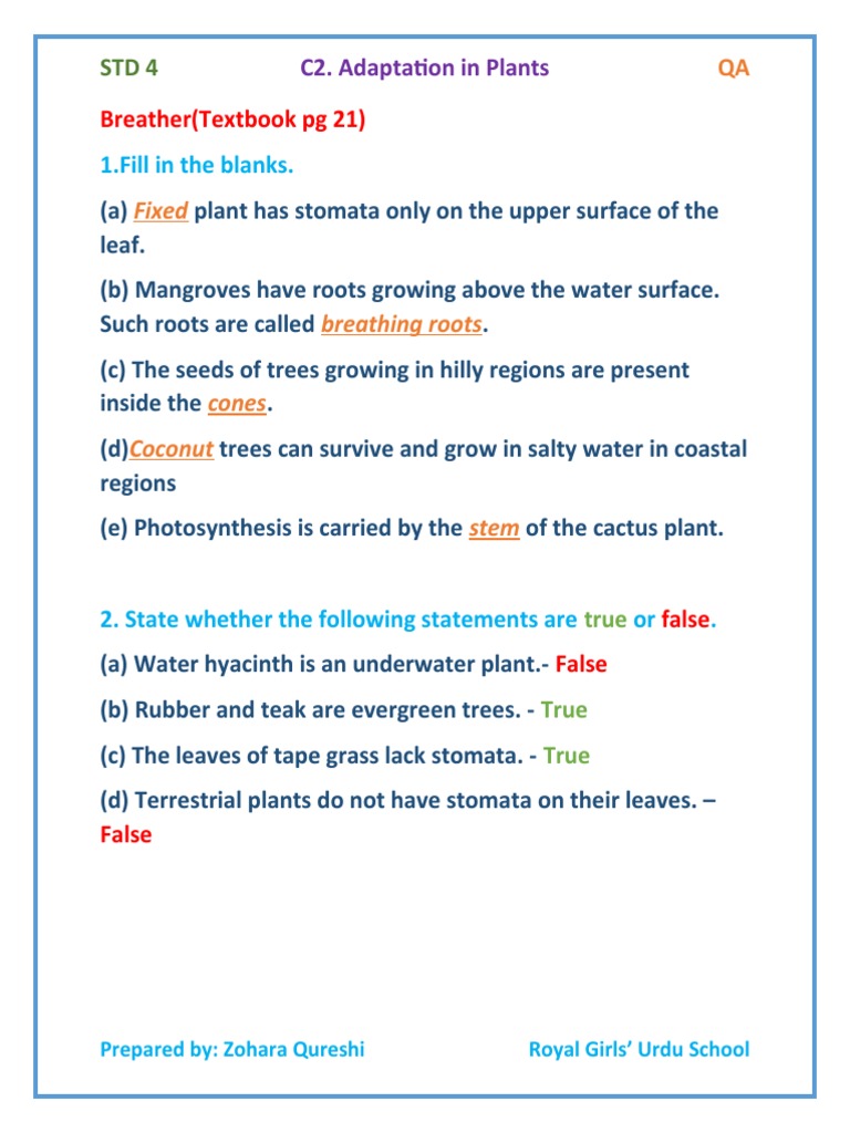 Plant Adaptations for Grade 4 | PDF | Plants | Trees
