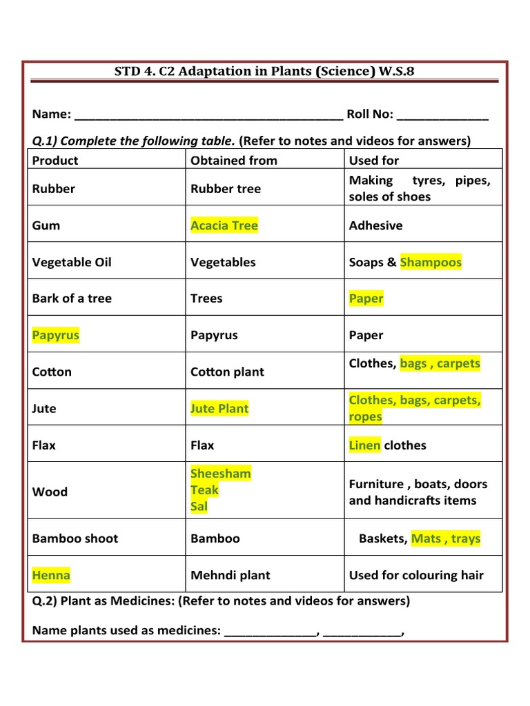 C2 Adaptation in Plants Worksheet | PDF
