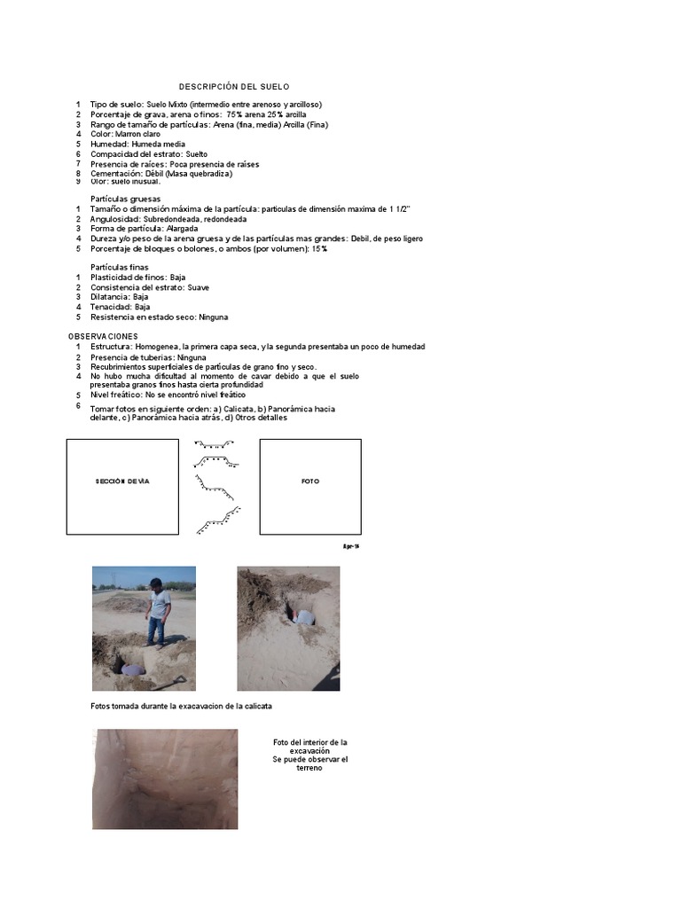 Perfil Calicata | PDF | Naturaleza