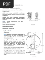 Ascaridiose : Infection parasitaire et symptômes | PDF | Spécialités ...