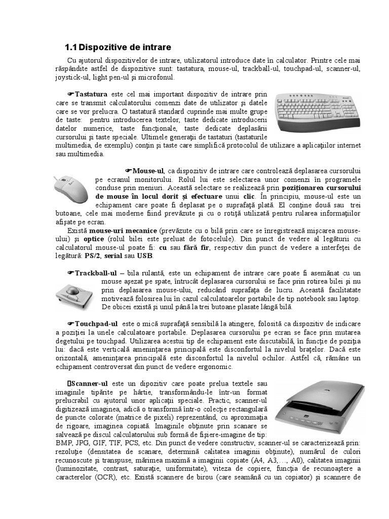 Dispozitive de Intrare Fișa | PDF