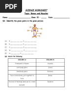 Student Skeletal System Exam Questions | PDF | Skeleton | Bone