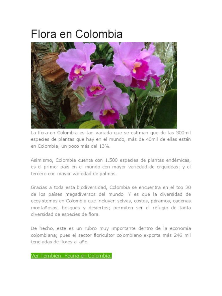 Flora en Colombia | PDF | Colombia | Plantas