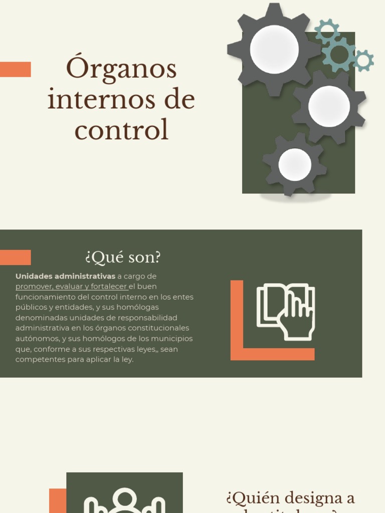 Órganos Internos de Control | PDF | Virtud | Ley Pública
