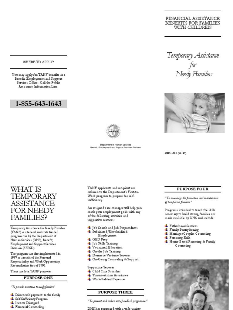 Tanf Brochure 2015 | PDF | Temporary Assistance For Needy Families | Family